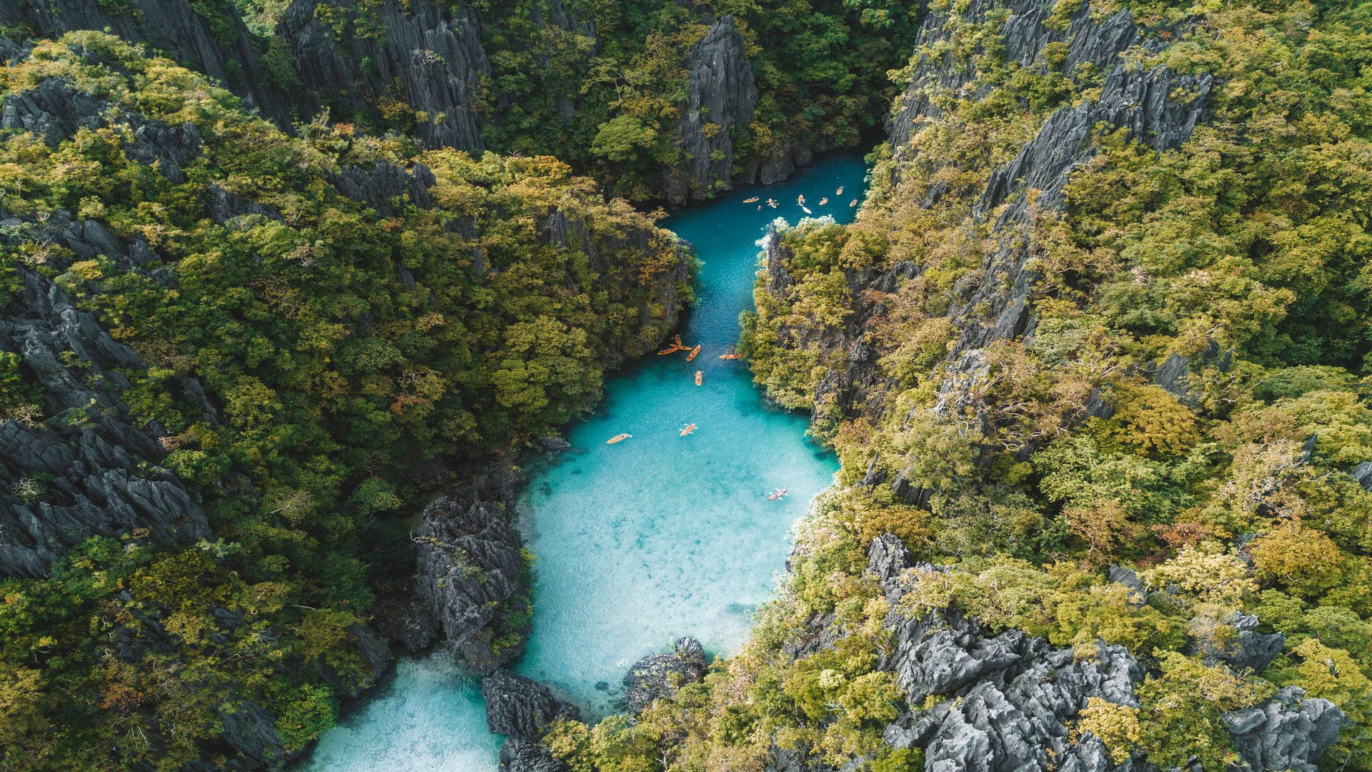 El Nido to Puerto Princesa by minivan and bus | Bookaway